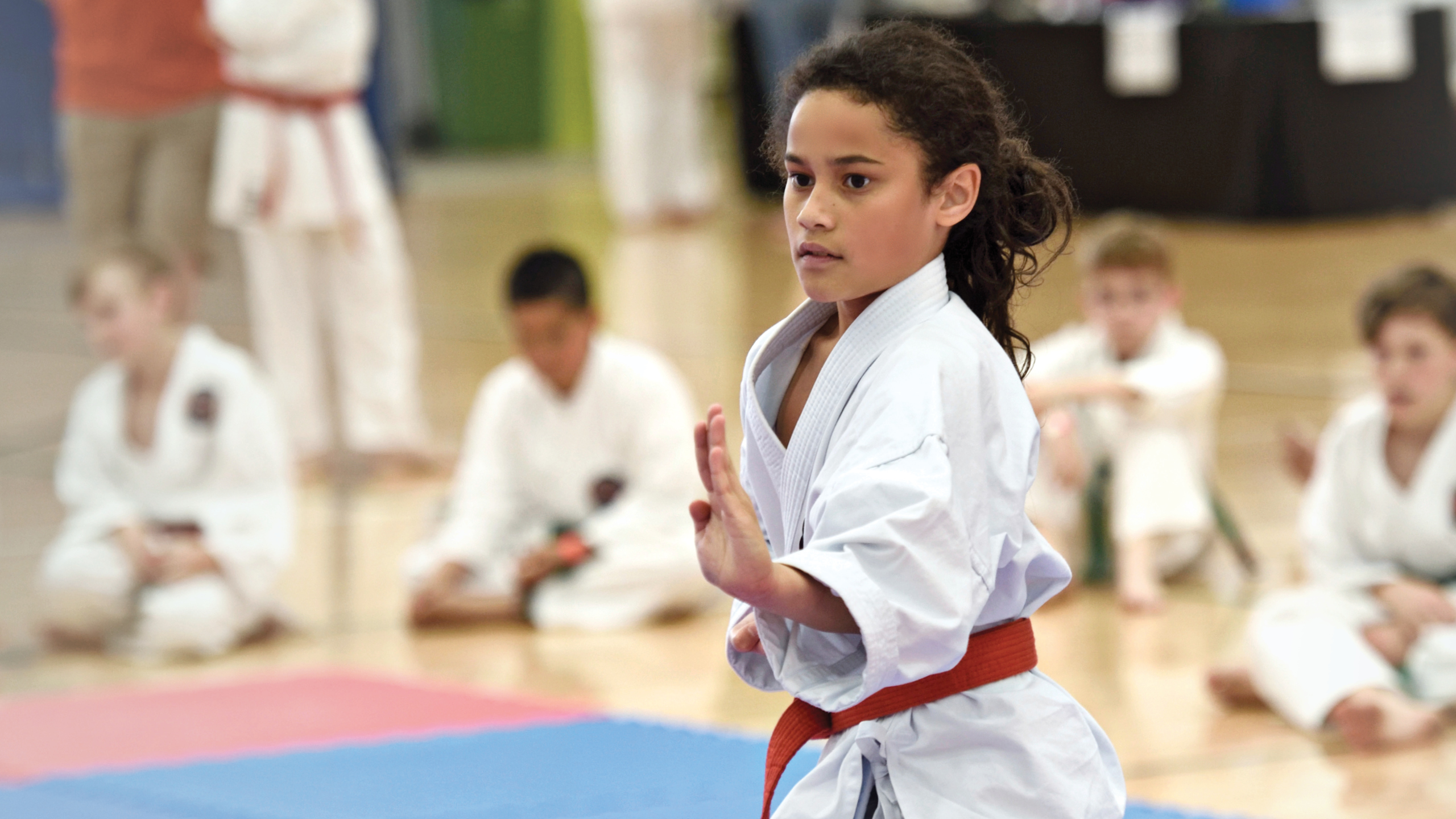 GKR Karate North Lakes (1) | GKR Karate