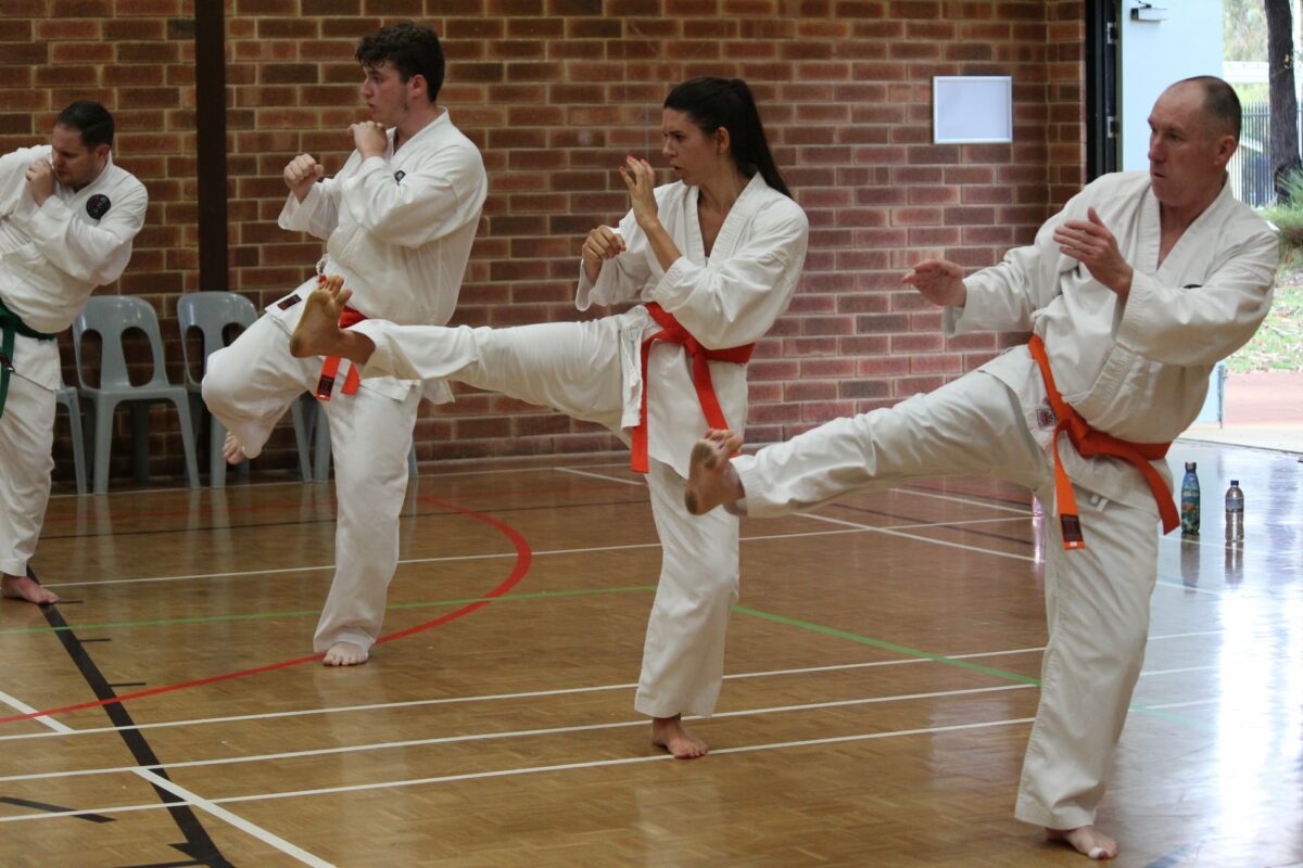 Grading Photos - November 2020 | GKR Karate