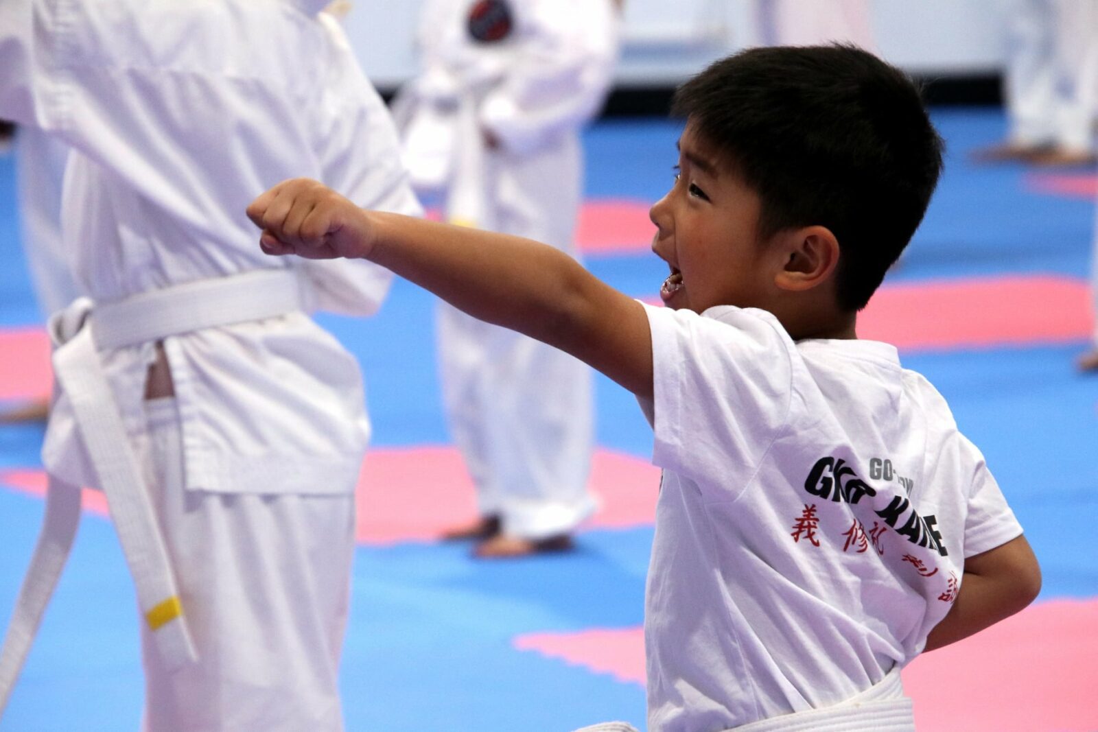 Grading Photos - November 2020 | GKR Karate