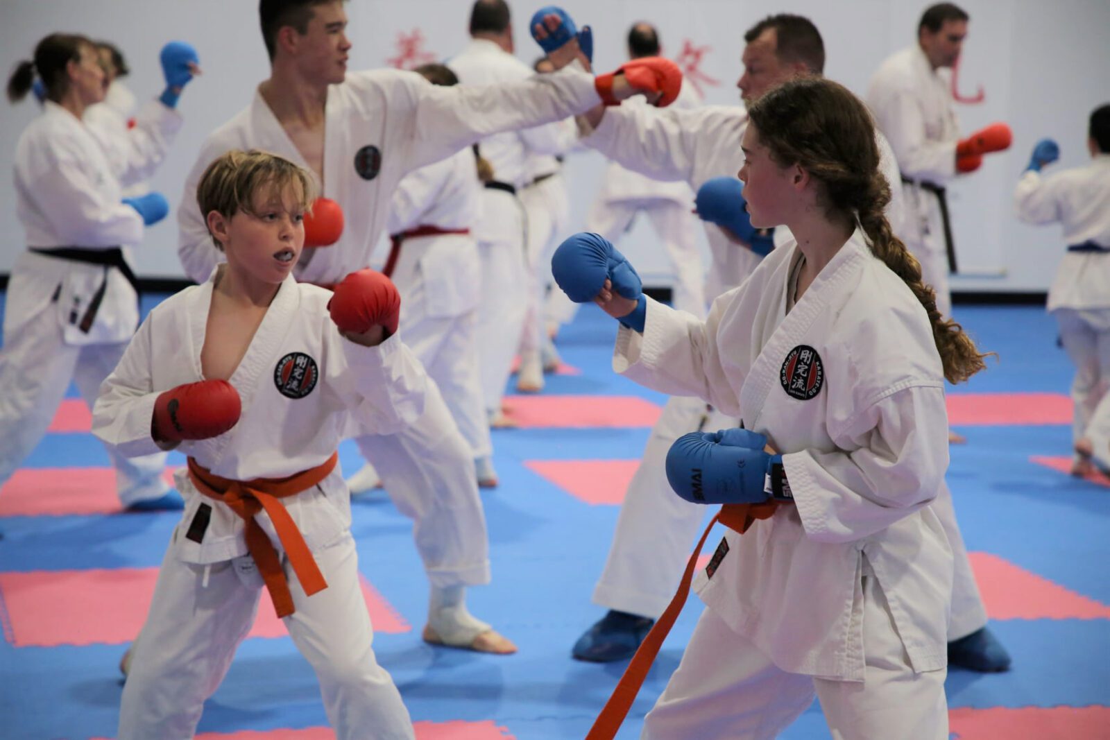 Grading Photos - December 2020 | GKR Karate